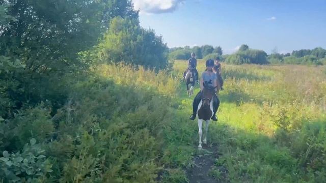 Конные  прогулки вокруг Зелёной Слободы