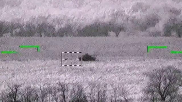 Наблюдаем лучшую работу в мире!