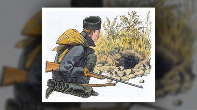 Центральная детская библиотека. Книжка на лето