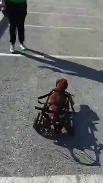 Тима из Новосибирска!