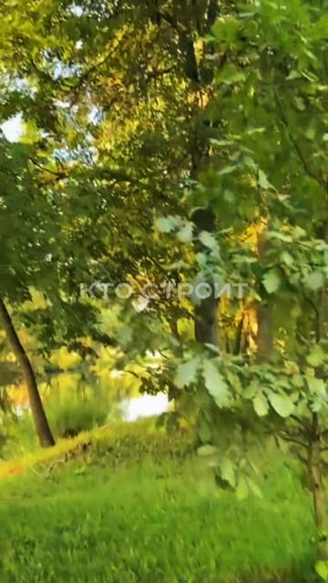 🎥 Сила лидера в создании системы