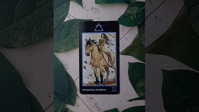 Для начинающих.Таро Манара.Фигурные арканы.Всадница Воздуха