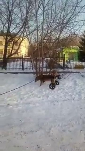 document_5256260455214625585