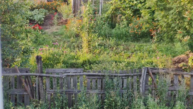 Деревенские огороды, лето в деревне
