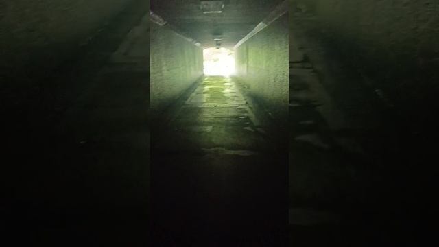 Песни
