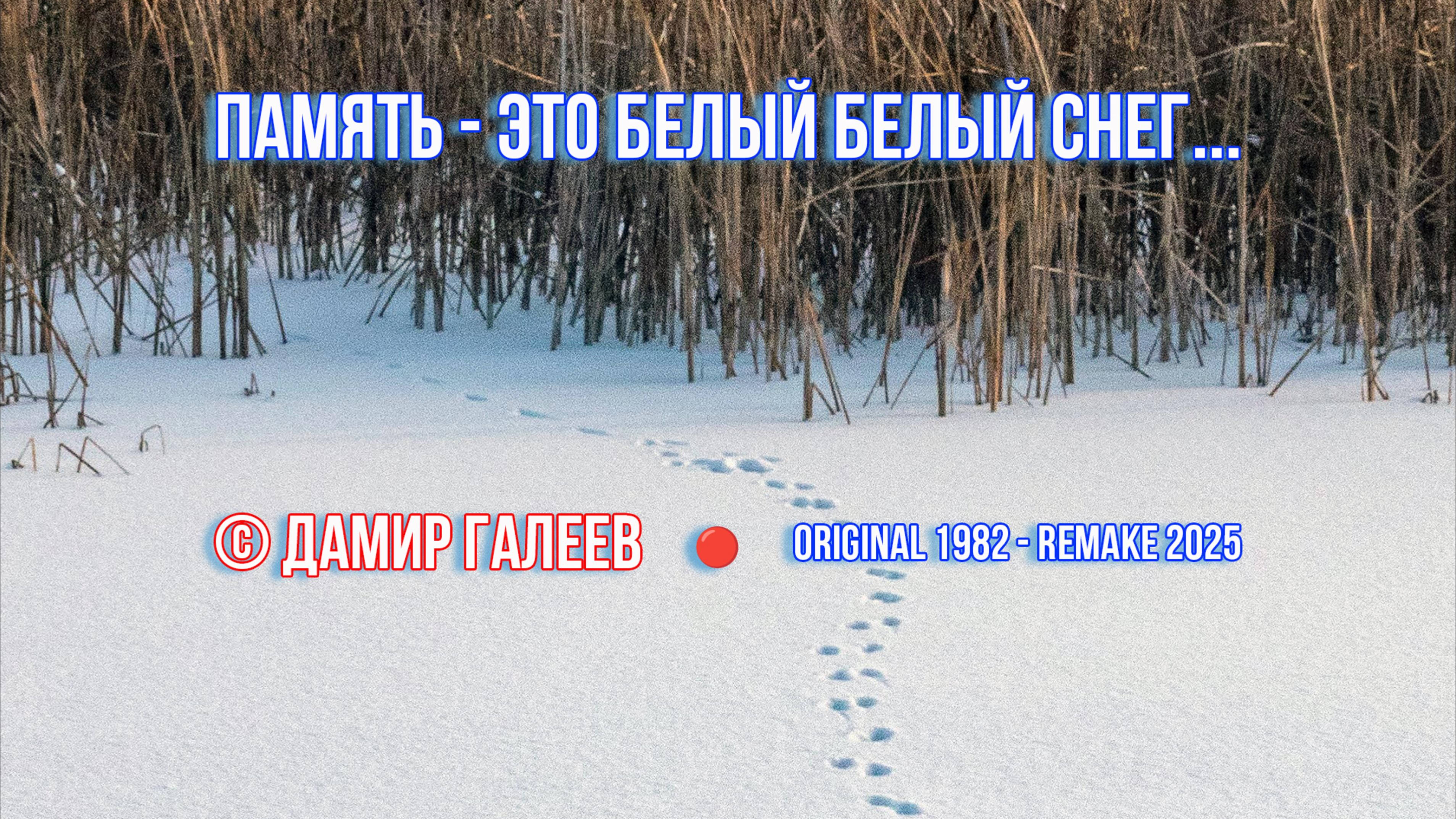 Песня - Память это белый белый снег © Дамир Галеев 1982