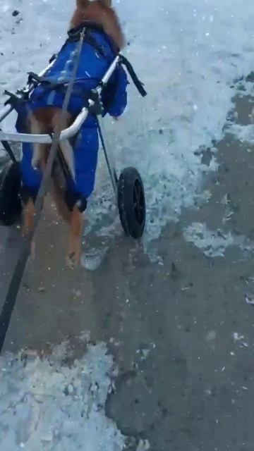 YouCut_20220212_182905119.mp4