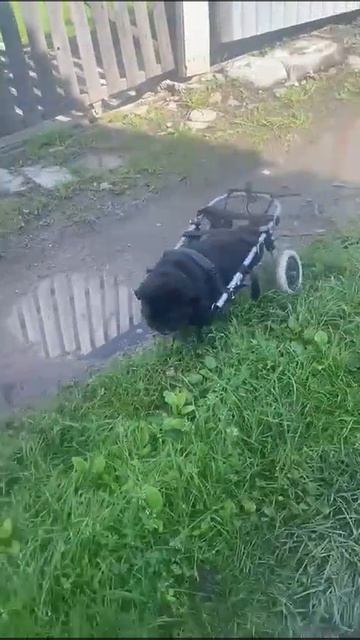 video5348510361253338730