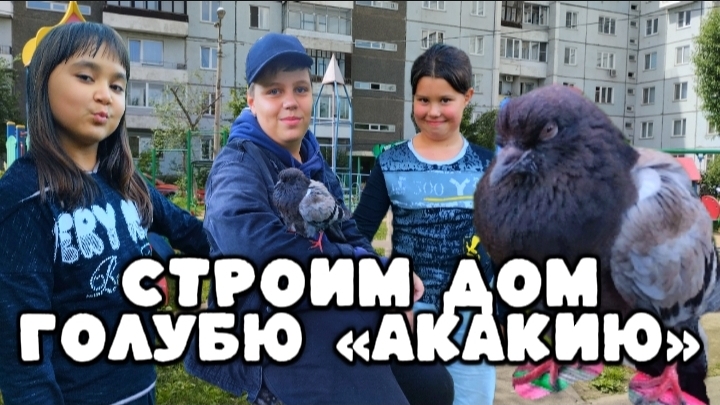 СТРОИМ ДОМ ГОЛУБЮ АКАКИЮ | friendsRD