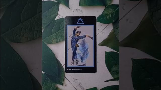 Для начинающих.Таро Манара.Фигурные арканы.Слуга Воздуха