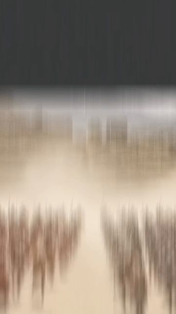 Что если бы Атауальпа вел прямые эфиры? #атaуальпа #писарро #инки #veo #историясюмором