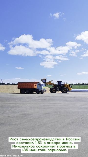 Агроновости 28 июля-3 августа 2025 года