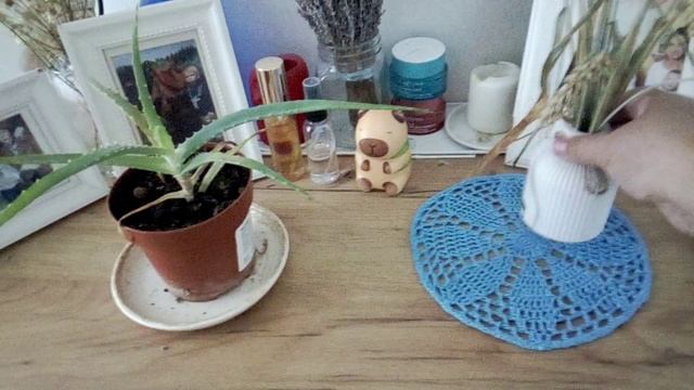 Вязальные будни.Мои вязальные процессы. Есть роспуск.*Что на крючке на этой неделе