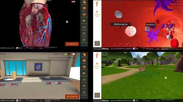 Foton: что показывают в видеороликах PolyVR