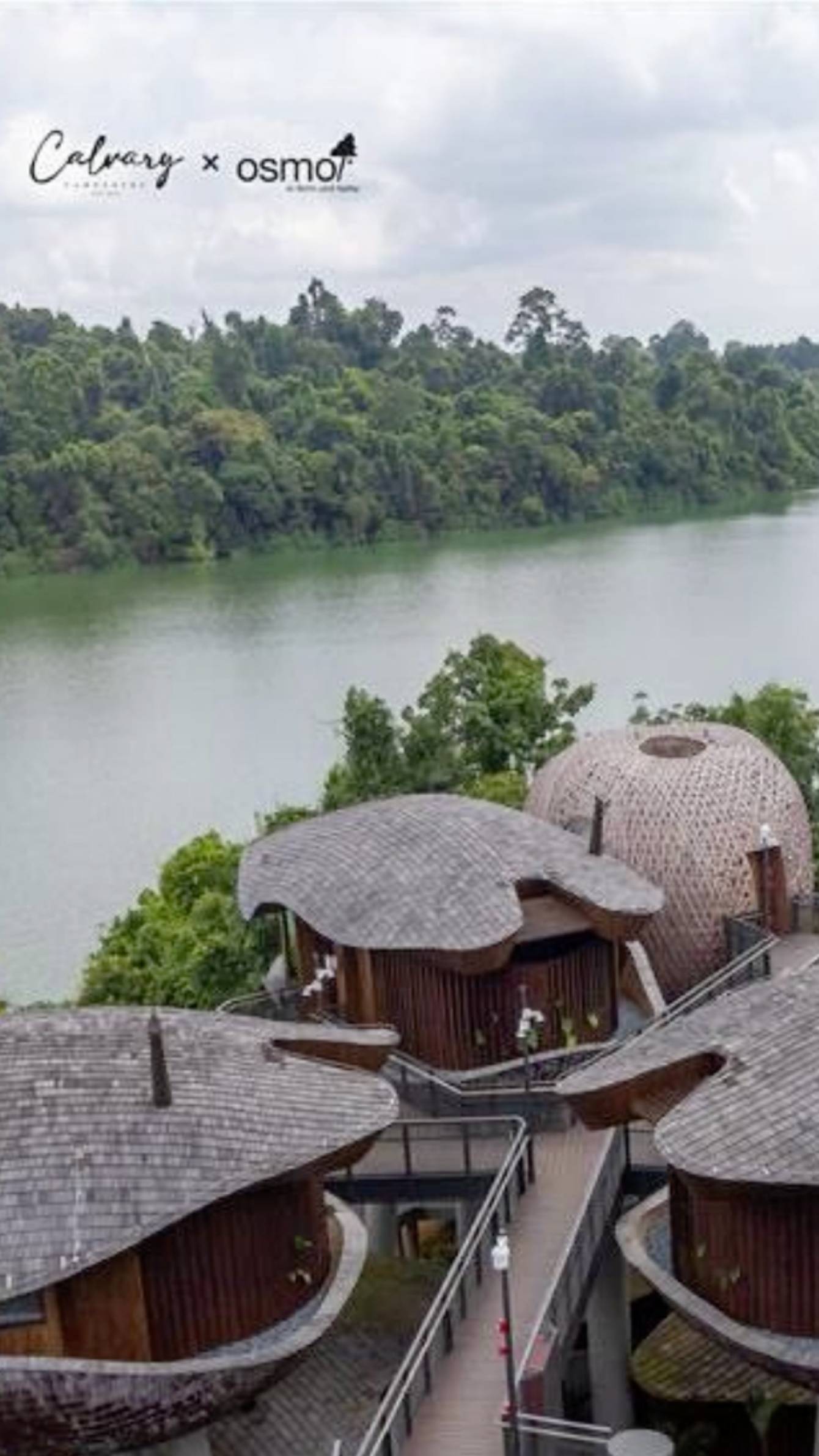 Osmo x Calvary Carpentry: Эксклюзивная защита древесины для курорта Mandai Rainforest Resort