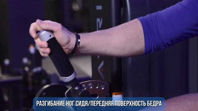 РАЗГИБАНИЕ НОГ СИДЯ | ПЕРЕДНЯЯ ПОВЕРХНОСТЬ БЕДРА