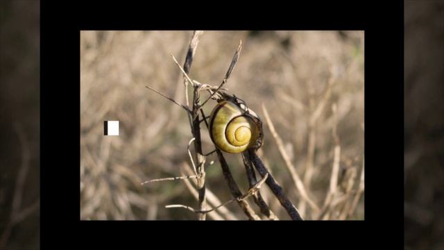 Movie Magic 016 (Orchestral Mix)