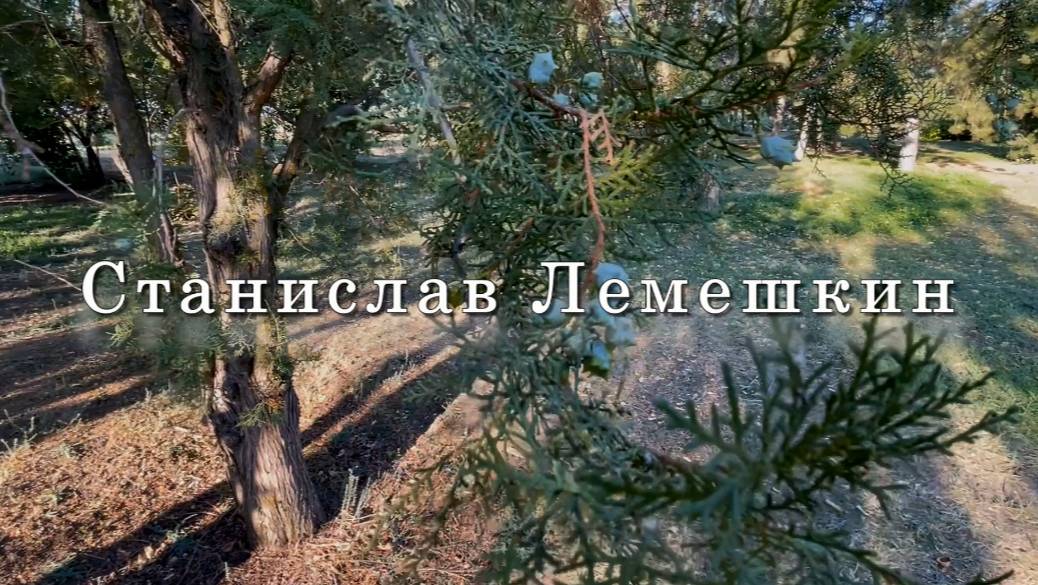 Станислав Лемешкин,  Вслед за мечтой. Музыка для души