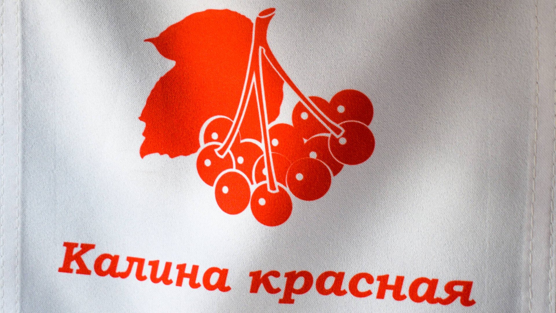 Поездка на поезде "Калина красная"