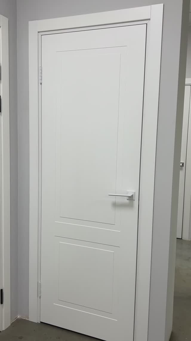 Flat 2 | Polar. Серия Skinel. Щитовая. Скиновая. Эмаль. ВЛАДИМИРСКАЯ ФАБРИКА ДВЕРЕЙ.