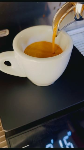 Используете ли вы одинарный портофильтр и почему?