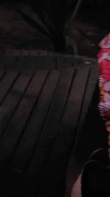 Аллея баобабов на рассвете, Мадагаскар