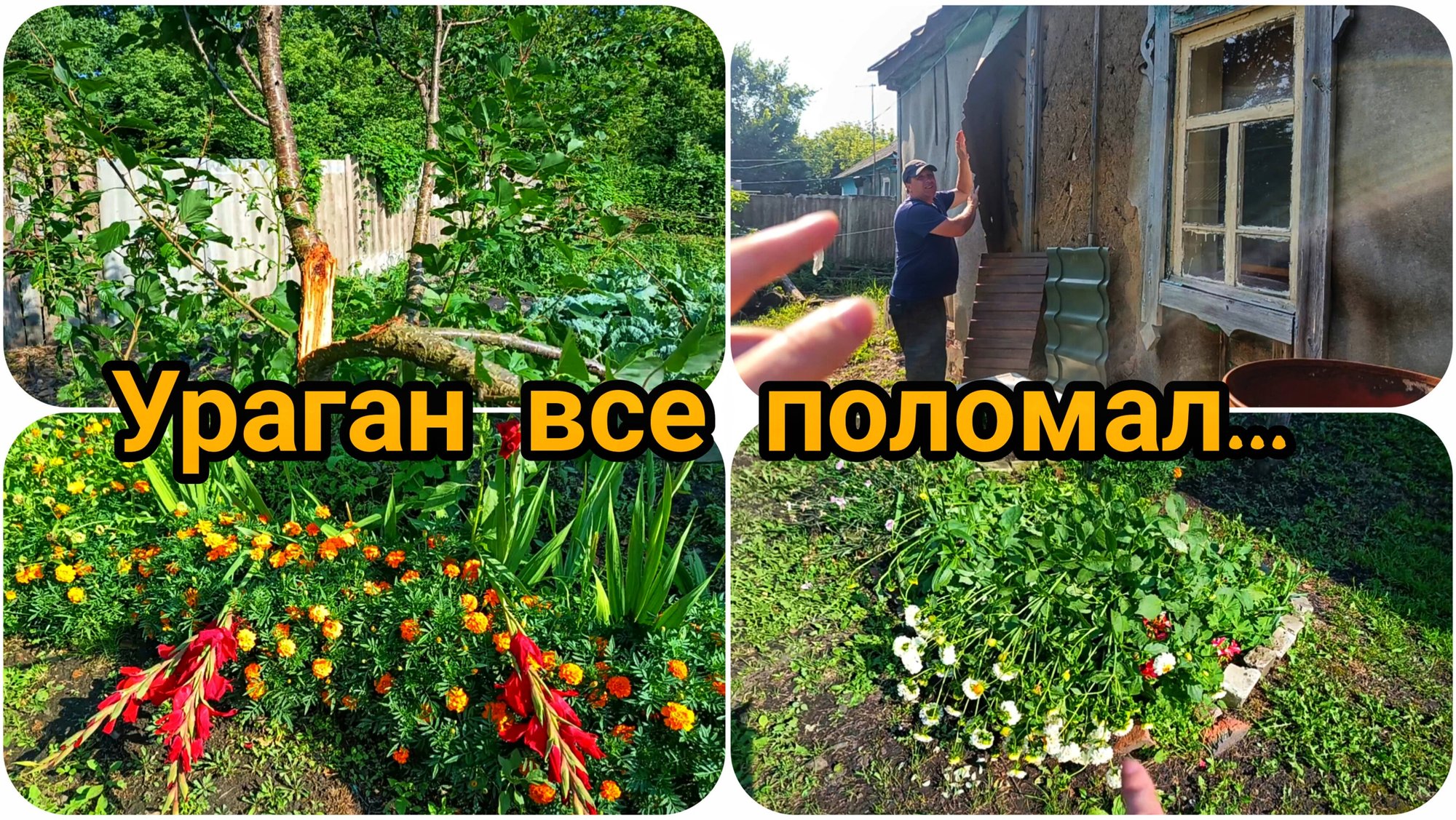 УРАГАН В ТАМБОВСКОЙ ОБЛАСТИ 🌀🌪️ ДЕРЕВЬЯ СЛОМАНЫ,🌳 ЦВЕТЫ ПОЛОЖЕНЫ, 🌺🌼🌻 ОБШИВКА ДОМА ОТЛЕТЕЛА.