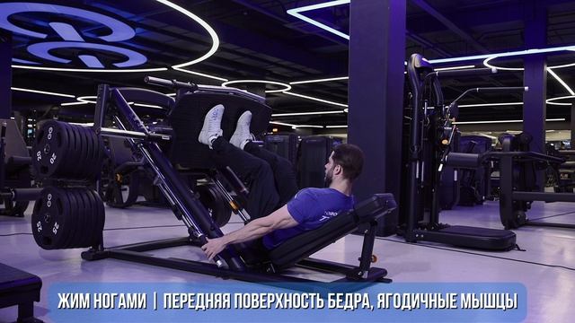 ЖИМ НОГАМИ | ПЕРЕДНЯЯ ПОВЕРХНОСТЬ БЕДРА, ЯГОДИЧНЫЕ МЫШЦЫ