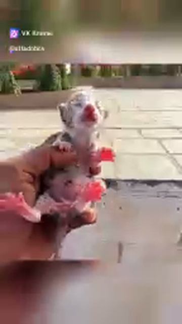 Я-так-плакала.как-жалко.