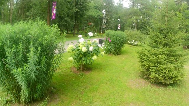 любовь не ромашка