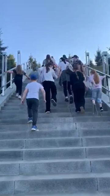 Посчитали лесницы....