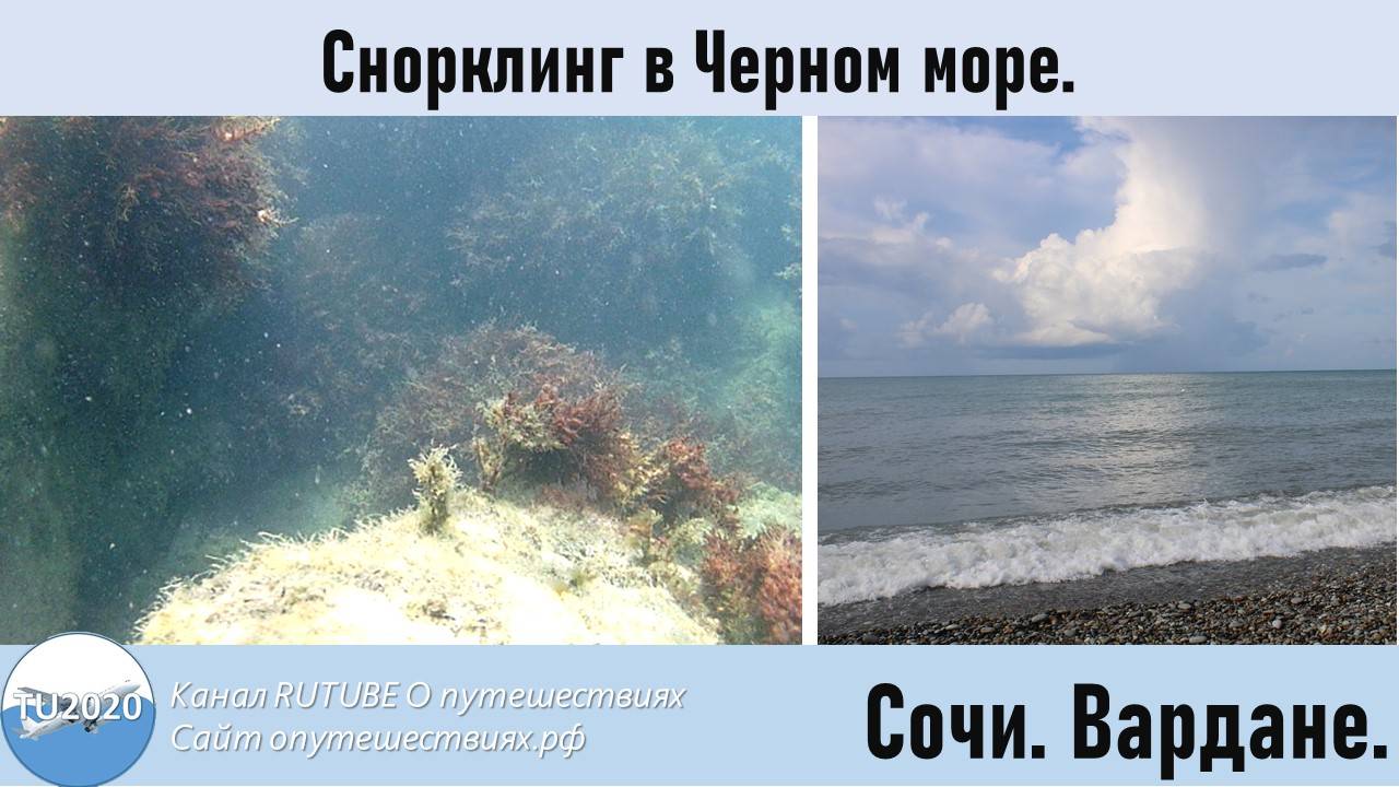 Черное море. Вардане. Снорклинг.