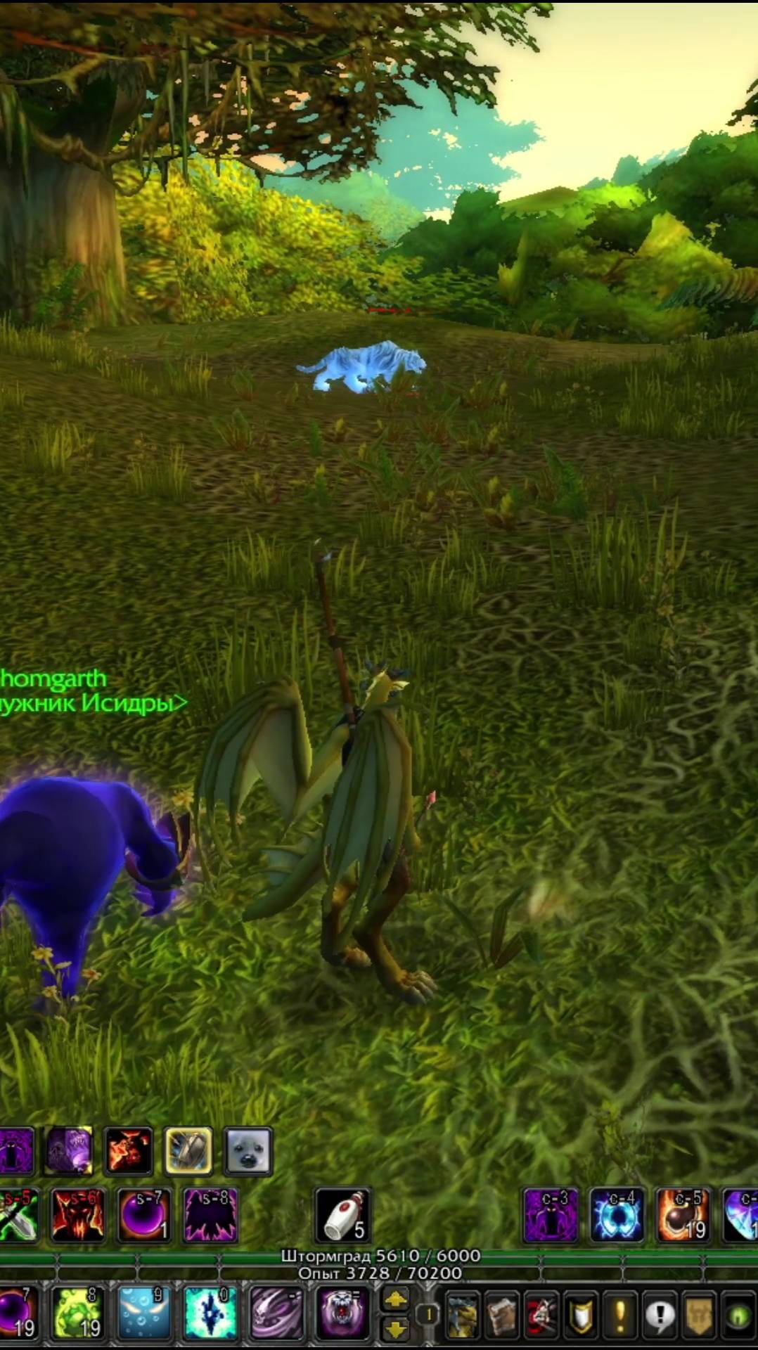 Тернистая долина