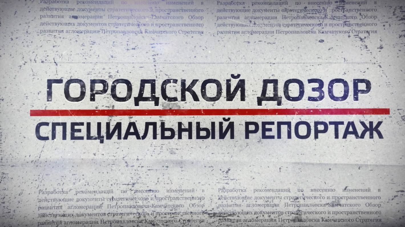 Городской дозор. Выпуск 9