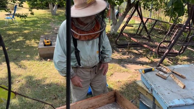 Коньячный или Малиновый? Какой мед нравится вам?