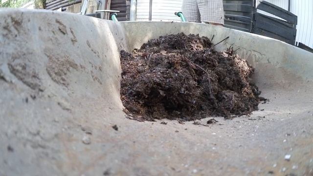 Клумба у кострища. Как сделать клумбу. Клумба своими руками. Цветник. DIY.