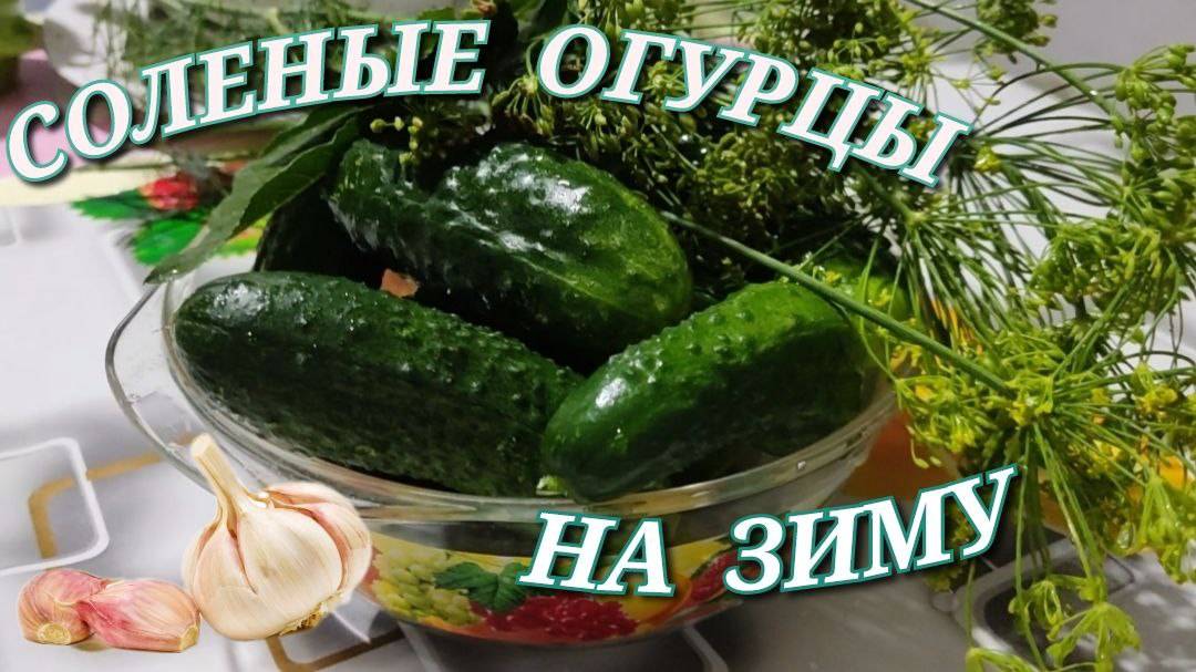 Самый быстрый и простой рецепт засолки огурцов на зиму холодным способом без уксуса и стерилизации