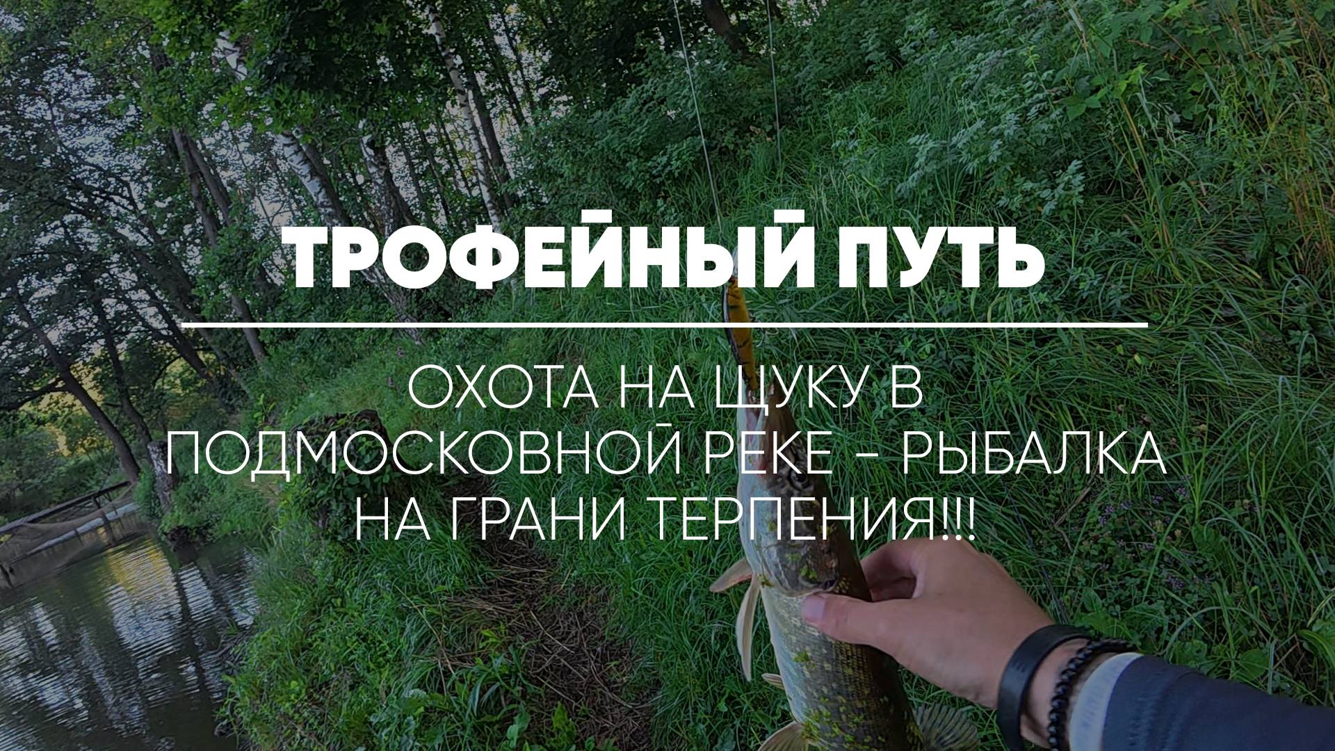 ТРОФЕЙНЫЙ ПУТЬ // Охота на щуку в подмосковной реке - рыбалка на грани терпения!!!