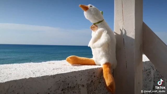 Гусиный артаутдор у моря | длинный дубль!