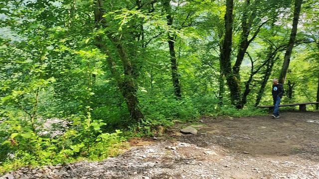 Ущелье над рекой Шахе в Сочи.