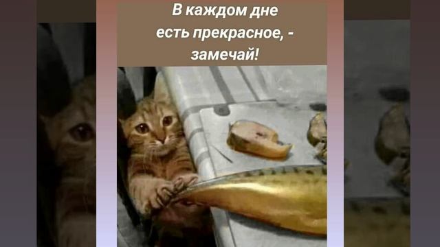 ХОРОШО, КОГДА РЯДОМ КТО-ТО МУРЧИТ!