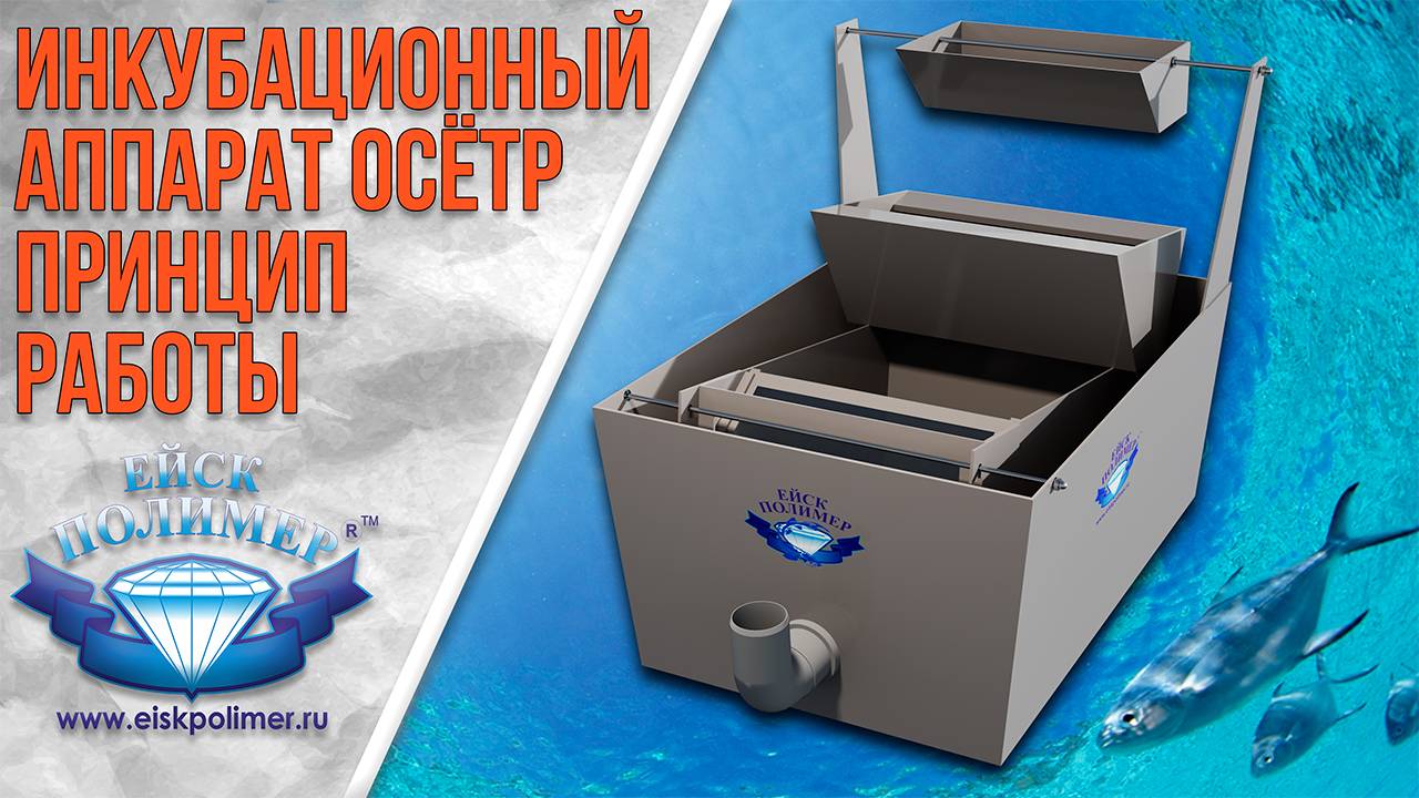 Принцип работы инкубационного аппарата "Осетр"