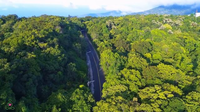 Эмоциональная фортепианная терапия  Успокойте нервную систему и восстановите внутренний покой