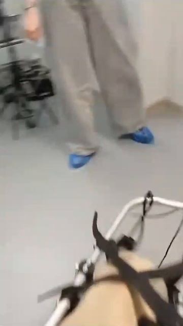 WhatsApp Video 2025-02-12 at 12.10.13