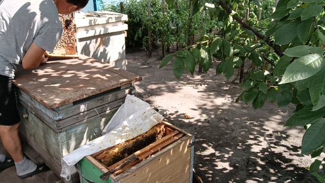 Контроль на засев.