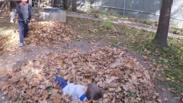 Осень. Листья. Измельчитель. Компост.