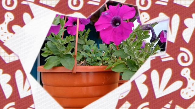 Моя цветущая усадьба Ямская