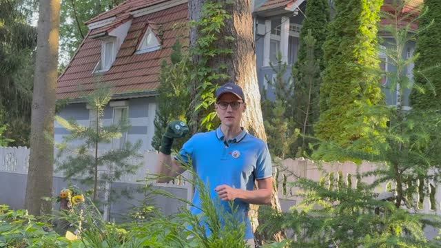 АА и его друзья. Путешествие в Калининград. Выпуск 4. Светлогорск-Раушен. Все дороги ведут к счастью