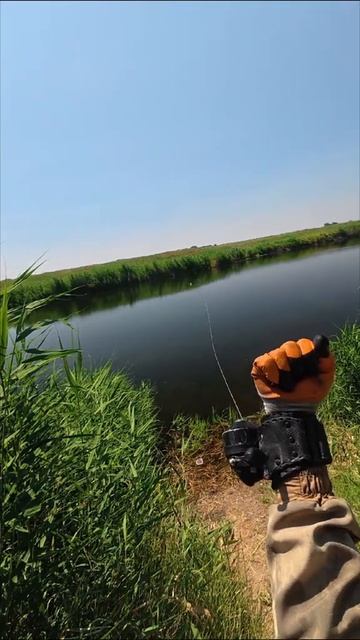 Тест новой рогатки