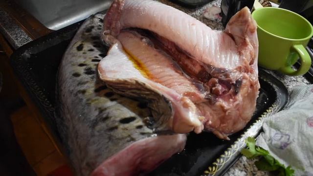 Коптим зубатку. Готовим в каптильне на открытом огне.